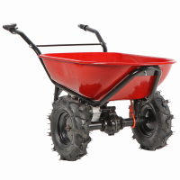 Geotech CAR 260T-100 - Akku-Schubkarre im Angebot | Agrieuro